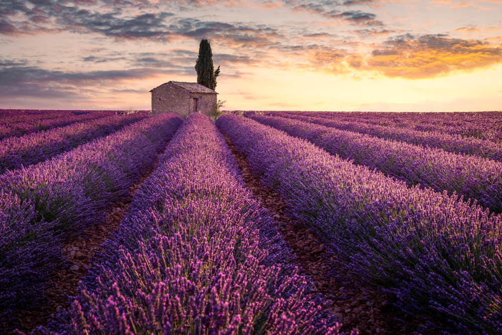 France Vacation Ideas— Evolution of Travel